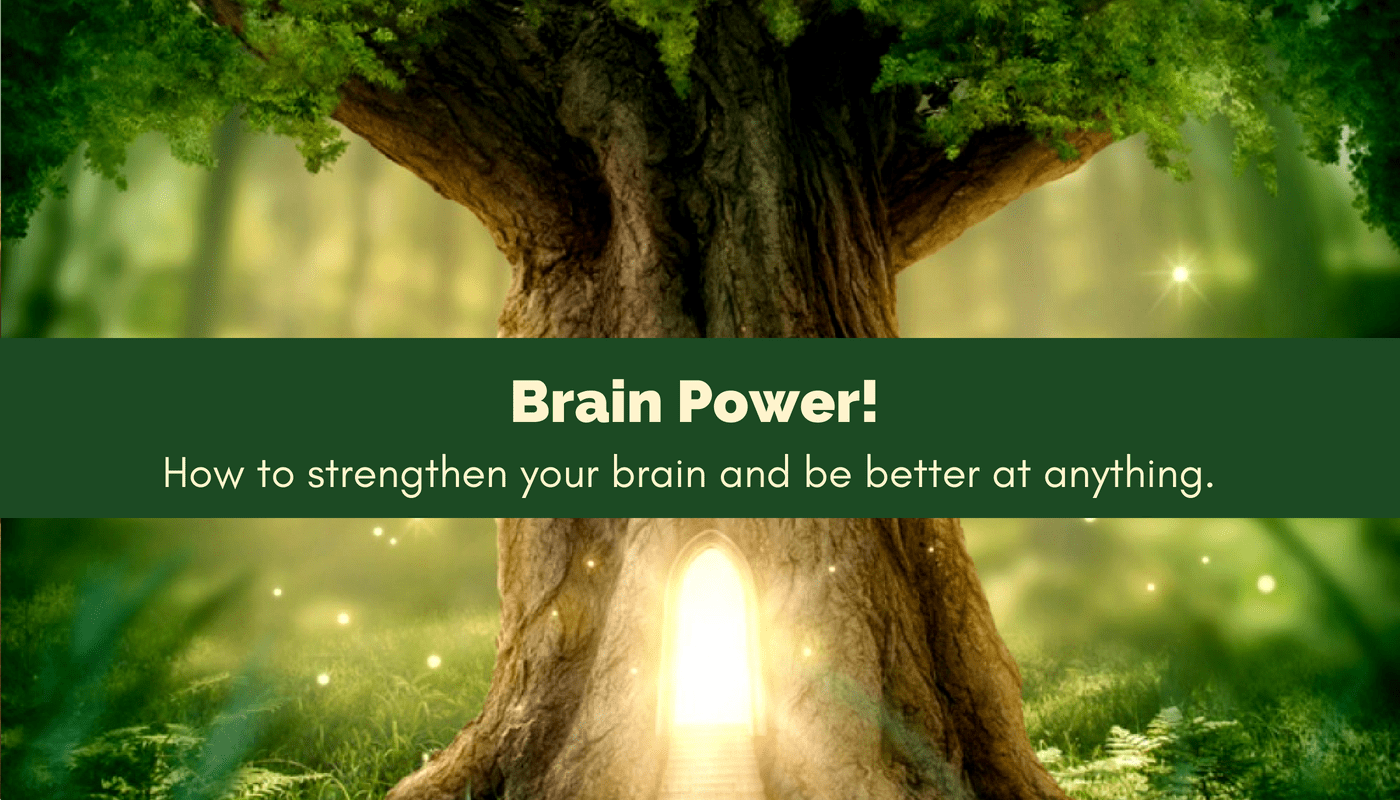 Brain Power Hey Sigmund